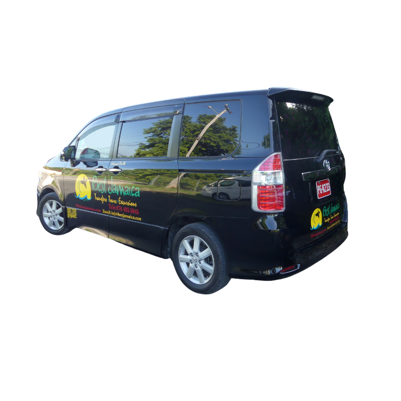 Private Airport Transportation to Secrets Wild Orchid – The Best Start ...